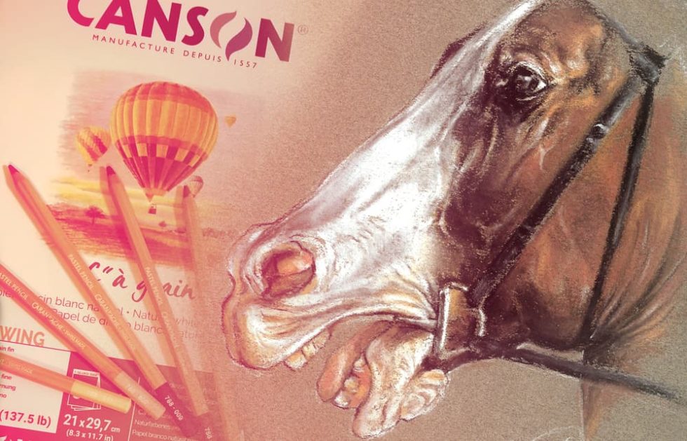 Come disegnare il muso di un cavallo | Checchicolori colorificio